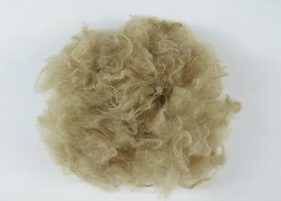 China 8D*51MM 100% Recycled Pet Bottle Polyester Staple Fiber for sale