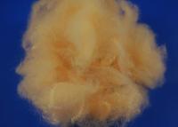 China Golden Yellow Drop Dyed Colored Polyester Staple Fiber 1.5D-15D Antipilling Anti Napping for sale