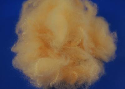 China Golden Yellow Drop Dyed Colored Polyester Staple Fiber 1.5D-15D Antipilling Anti Napping for sale