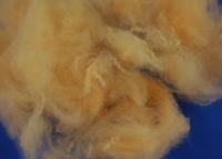 China Golden Yellow Drop Dyed Colored Polyester Staple Fiber 1.5D-15D Antipilling Anti Napping for sale