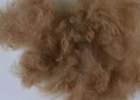 China Dope Dyed Coffee Color Recycled Polyester Staple Fiber 1.5D 38mm for sale