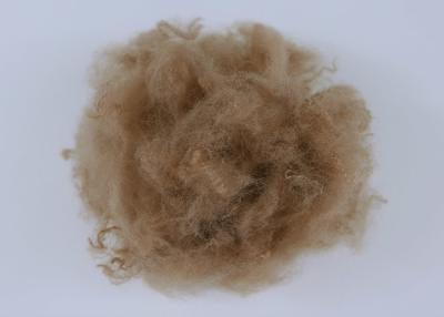 China Dope Dyed Coffee Color Recycled Polyester Staple Fiber 1.5D 38mm for sale