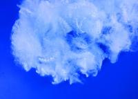 China Recycled PET Low Melt Polyester Staple Fiber 32mm 1.5d for Nonwoven Fabric for sale