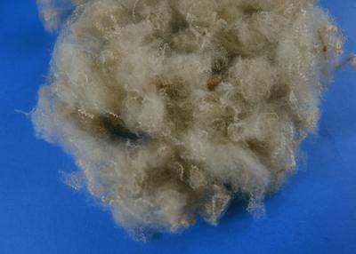 China Color Functional Polyester Staple Fiber PSF Spinning Fiber 1.4d*38mm With Dyed Pattern for sale