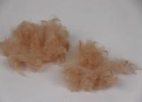 China Solid Siliconized Polyester Staple Fiber 12D 64mm Recycled Virgin Abrasion Resistant for sale