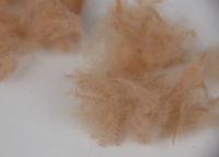 China Solid Siliconized Polyester Staple Fiber 12D 64mm Recycled Virgin Abrasion Resistant for sale