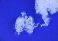 China 7D 64mm 100% Virgin Polyester Low Melt Staple Fiber for Nonwoven Fabric Filling for sale