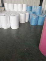 China Blue Spunbond 25g Ss Polypropylene Nonwoven for sale