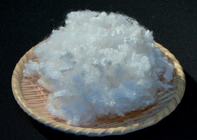 China Hollow Conjugated Polyester Fiber 7Dx64mm 100% Virgin for Sofa Filling for sale