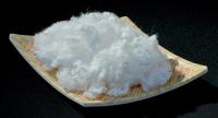 China Hollow Conjugated Polyester Fiber 7Dx64mm 100% Virgin for Sofa Filling for sale