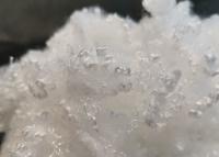China Hollow Conjugated Polyester Fiber 7Dx64mm 100% Virgin for Sofa Filling for sale