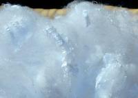 China Staple PSF Cationic Polyester Fiber 1.4D 38mm For Yarn for sale
