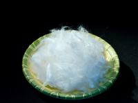 China 1.5D 38mm Polylactic Acid Staple Fiber Skin-Friendly for Medical Supplies for sale