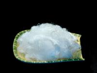 China Bicomponent Natural Staple Polylactic Acid Fiber White for sale