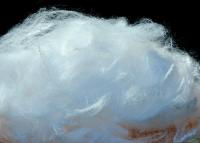China Short Cut PLA Polylactic Acid Fiber 100% Biodegradable For Paper Making for sale