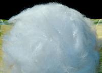 China PLA 1.2D 38mm Natural Anti-Bacterial Milk Fiber for Yarn Biodegradable Textile for sale