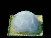 China PLA 1.2D 38mm Natural Anti-Bacterial Milk Fiber for Yarn Biodegradable Textile for sale