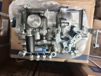 China 495AG Diesel Engine Spare Part - Fuel Injection Pump - 495A-30000 for sale