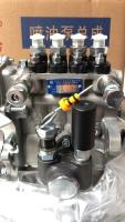 China 495AG Diesel Engine Spare Part - Fuel Injection Pump - 495A-30000 for sale