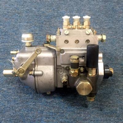 China Shanghai Brand Spare Parts for Diesel Engine Pump 2105A 495AG 495BG with 6 Month Warranty for Report & Video Inspection for sale