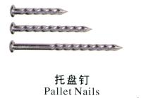 China All Kinds of Nails for sale