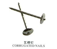 China All Kinds of Nails for sale
