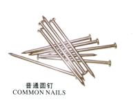 China All Kinds of Nails for sale