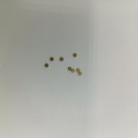 China Pana Piece (Copper 1.8mm) N210110278AA for sale