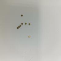 China Pana Piece (Copper 1.8mm) N210110278AA for sale