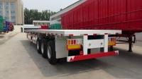 China 3-Axle Flatbed Semi-Trailer Steel Container Skeleton Truck Trailer for sale