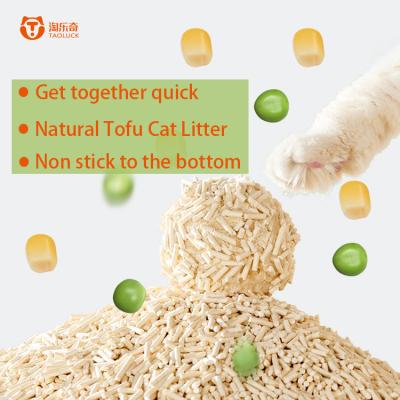 China Tofu Cat Litter Natural Quickly Clumping Highly Absorbent Low Dust Biodegradable Cat Litter for sale