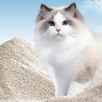 China Low Dust Effective Odor Control Customizable Particle Size Tofu Cat Litter Cassava Sand Biodegradable for sale