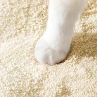 China Premium Cassava Cat Litter Sand Biodegradable Quick Clumping Cat Litter for sale