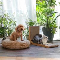 China L Shape Right Angle Cat Scratching Cardboard With Ball Cat Scratching Toys for sale