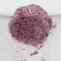 China Purple OEM Premium Tofu Cat Litter Lavender Flushable Tofu Cat Litter Bulk for sale