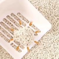 China Premium Tofu Cat Litter Low Dust Odor-Free Biodegradable Flushable for Cats for sale