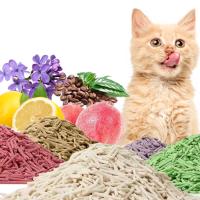 China 2025 Latest Arrival Efficient Agglomeration 100% Natural Materials Sanitary Sand Easy Scooping Effective Odor Control Dust Free Clumping Cat Litter 5L 6L 7L 10L for sale