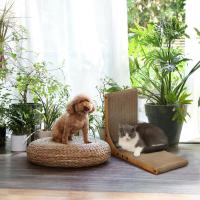 China Indoor Corrugated Cardboard Cat Scratcher Luxury Cat Scratch Pad Cardboard for sale