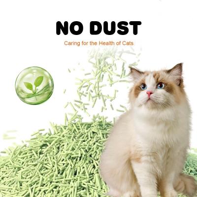 China Non Toxic Eco Friendly Tofu Cat Litter Dust Free for sale