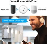 China Non Grounding Voice Control Smart Plug Wifi Outlet 10A CE Approved for sale