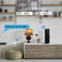 China Home Automation Tuya Smart Outlet With Remote Switch CE Certificate for sale