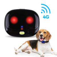 China Anti Theft Anti Lost Gps Tracker Dog Collar With Voice Monitor for sale