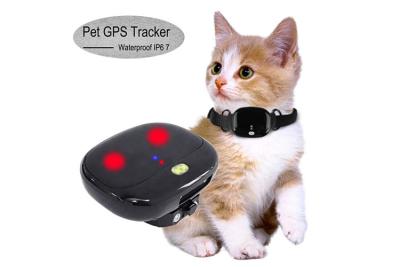 China Ariza Geo-Fence Wifi Pet Tracker , Real Time Gps Tracker For Dogs for sale