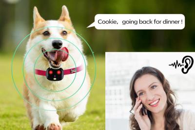 China 35g Black Smart Dog Collar Gps Tracker Low Battery Alarm for sale