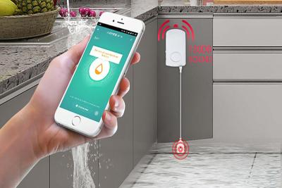 China 130db Smart Wifi Water Leak Alarm Sensor 1 Year Warranty for sale