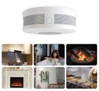 China White Comes With High-Precision Electrochemical Sensor Smoke And Carbon Monoxide Sensor Alarm for sale