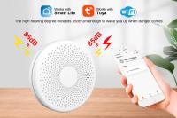 China Tuya Wifi Smart Carbon Monoxide And Smoke Alarm 2 In 1 Detector Sensor for sale