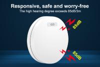 China 10 Year Battery Photoelectric Interlinked Smoke Alarm Battery Powered Smoke Alarm for sale