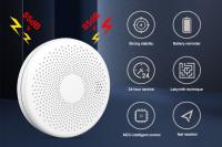 China Standalone Smoke Detector Fire Battery Operated High Sensitivity Smoke Alarm And Carbon Monoxide Detector for sale