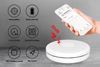 China Portable WiFi Smoke Detector Alarm Combine Co Detector Carbon Monoxide Alarm  With  Low Power Remind for sale